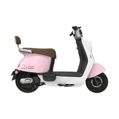 Xe Đạp Điện Pega Gen Z Chính Hãng - Pin Bền, Giá Tốt - xechinhhang.vn