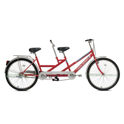 Xe Đạp Đôi Thống Nhất 26 Inch - Hiện Đại, An Toàn, Phù Hợp Cho Cặp Đôi ...